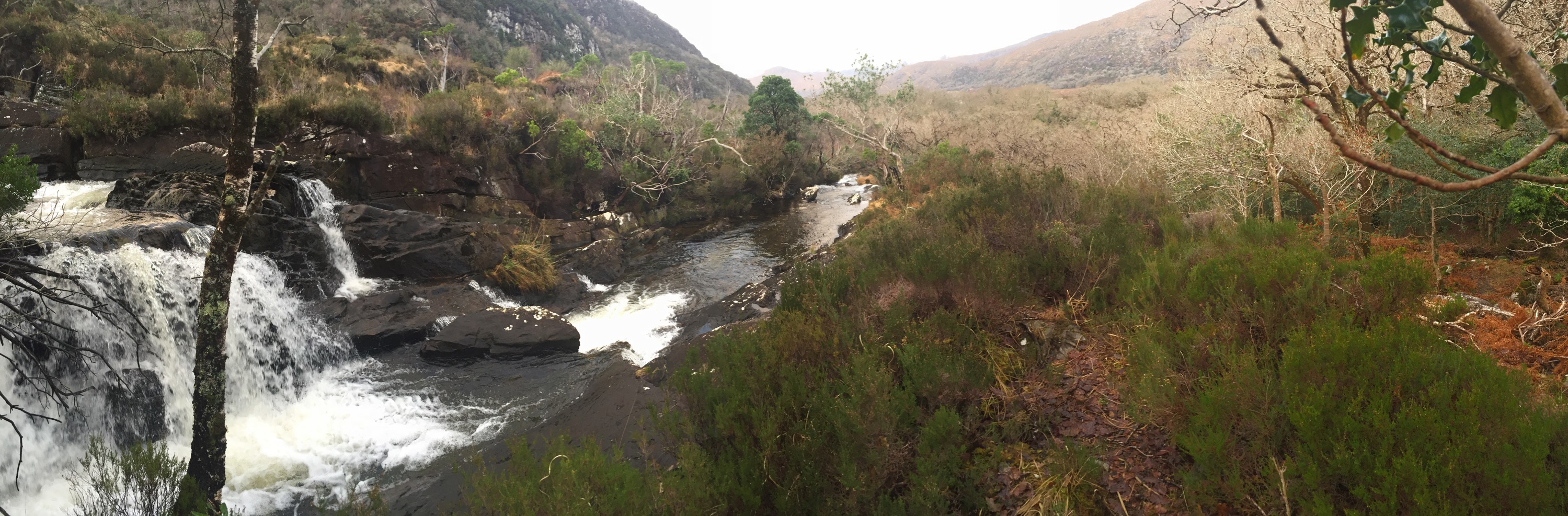 Tower Wood Waterfall – A Hidden Gem of Killarney National Park – Donal ...